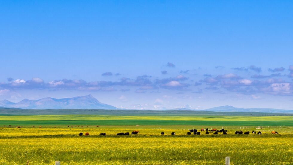 The 8 Best Small Towns to Buy a Home in Southern Alberta - Land & Title